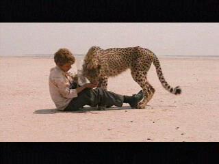 Duma (2005) - Rotten Tomatoes