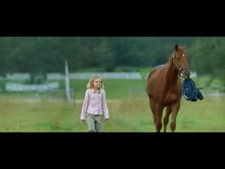 Dreamer (2005 film) - Alchetron, The Free Social Encyclopedia