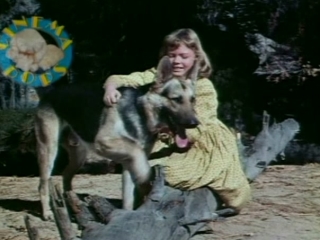 Rand Brooks - Rotten Tomatoes