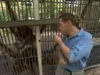 The Jeff Corwin Experience - Where to Watch and Stream - TV Guide