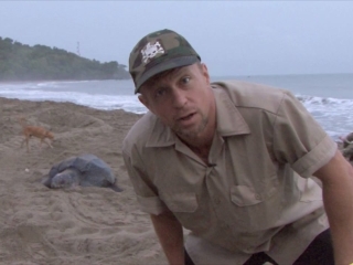 Raw Travel - Where to Watch and Stream - TV Guide