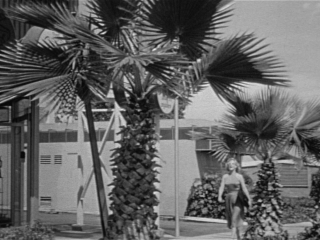 Werner Klemperer - Rotten Tomatoes