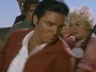 Quentin Dean - Rotten Tomatoes