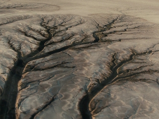 Watermark (2014) - Rotten Tomatoes