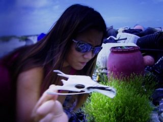 Plastic Paradise: The Great Pacific Garbage Patch - Where to Watch and ...