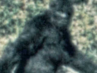 American Sasquatch Hunters: Bigfoot in America - Where to Watch and ...