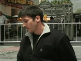 Dany Verissimo - TV Guide