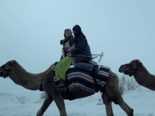 Bailey Spry - Rotten Tomatoes