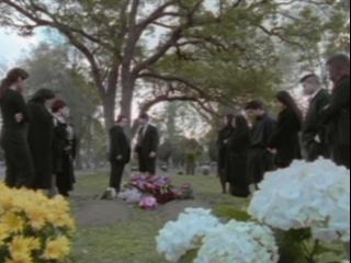 Rivals - Where to Watch and Stream - TV Guide